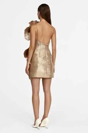 Acler Oakenzale Mini Dress