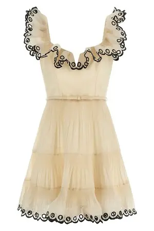 Zimmermann Embroidered Frilled Mini Dress