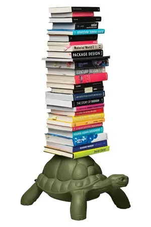 QEEBOO Turtle Carry Bookshelf Library