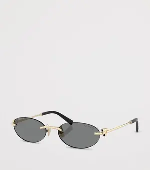 Tiffany & Co. Metal Tf3119d Oval Sunglasses