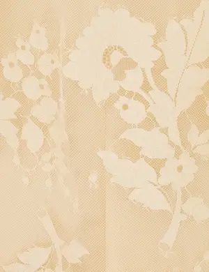 Zimmermann Lace Shirt