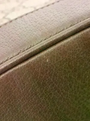 Gucci 2016-2026 Gg Supreme Web Ophidia Backpack