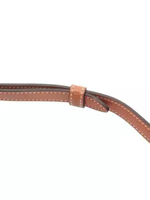 Celine 2010-2026 Mini Triomphe Cuir Coated Canvas Camera Bag Shoulder Bag - Brown