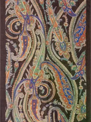 Etro Paisley-print Frayed Scarf - Brown