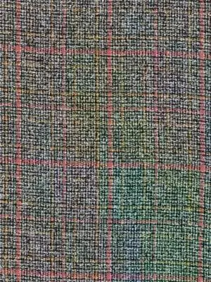 Destin Check-pattern Fringed Scarf