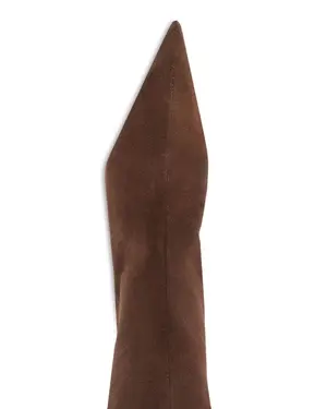 Schutz Lexi Suede Pointed Toe Boots