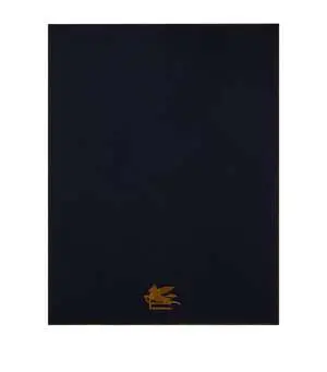 Etro Wool Alisso Throw - Blue