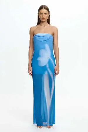 Significant Other Zhavia Strapless Maxi Dress