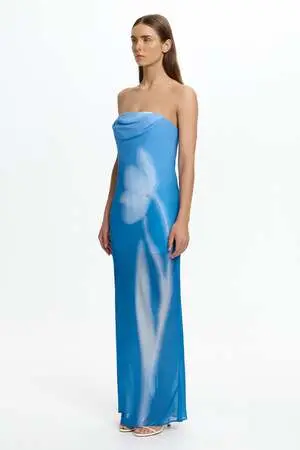Significant Other Zhavia Strapless Maxi Dress