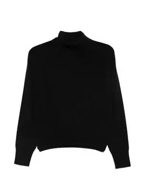 VANISE Cashmere Roll-neck Sweater - Black