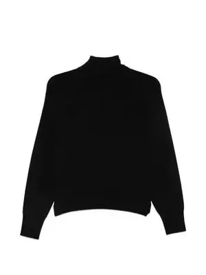 VANISE Cashmere Roll-neck Sweater - Black