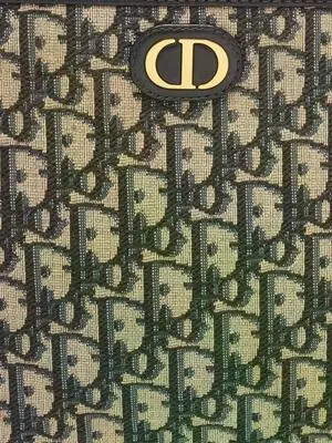 Dior Oblique Canvas 30 Montaigne Pouch