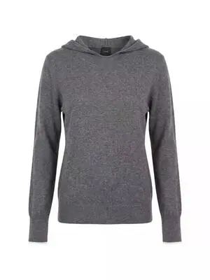 Pinko Wool Hooded Sweater