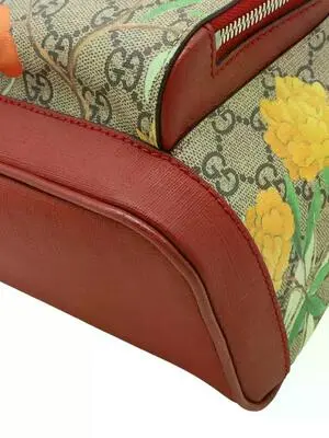 Gucci 2000-2015 Small Gg Supreme Web Tian Backpack - Neutrals