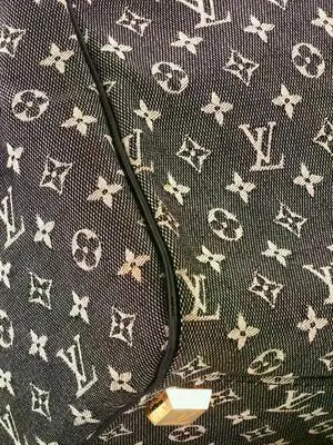 LOUIS VUITTON Josephine Handbag Mini Lin Pm Shoulder Bag