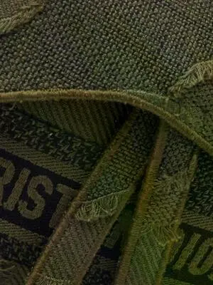 Dior 2019 Embroidered Canvas Belt Bag