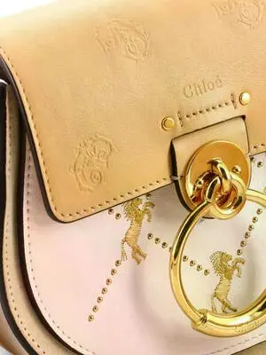 Chloé Tess Embroidered Leather Small Cross Body Bag