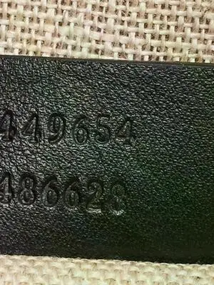 Gucci Mini Nice Dome Microguccissima Bag