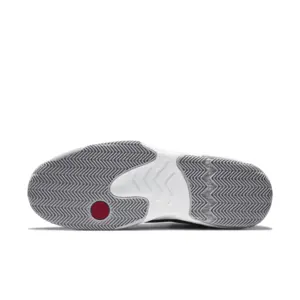 JORDAN Max Aura 2 Shoes