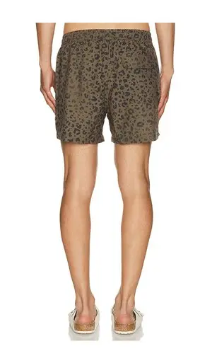 DUVIN DESIGN Club Swim Short - Leopard