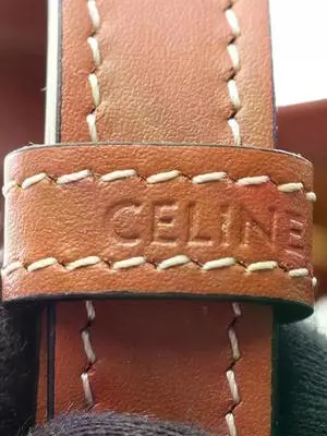 Celine 2010-2026 Triomphe Coated Canvas Clara Bucket Bag Satchel