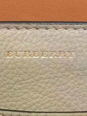 Burberry 2010-2026 Large Leather Belt Bag Satchel