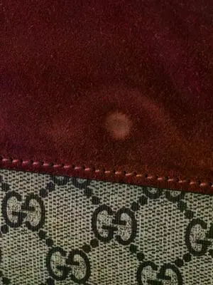 Gucci Dionysus Bag Blooms Print Gg Coated Canvas Mini Shoulder Bag