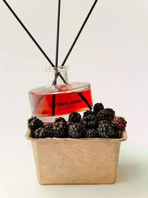 SISTER’S AROMA Blackberry Reed Diffuser