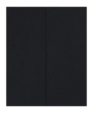 JUCCA Tech Fabric Midi Skirt