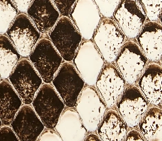 Khaite Blake Nano Bag In Python