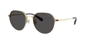 COACH Sunglass Cae81 - Grey Solid