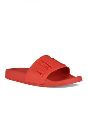 Amiri Slides