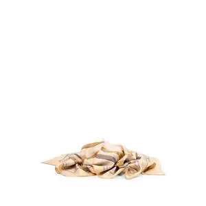Gucci Neutrals Scarves - Cream
