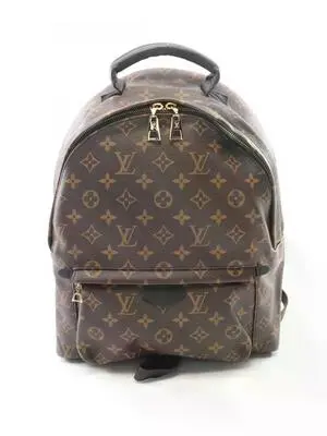 LOUIS VUITTON Monogram Palm Springs Mm Backpack - Brown