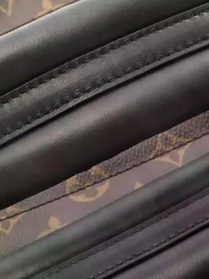 LOUIS VUITTON Monogram Palm Springs Mm Backpack - Brown