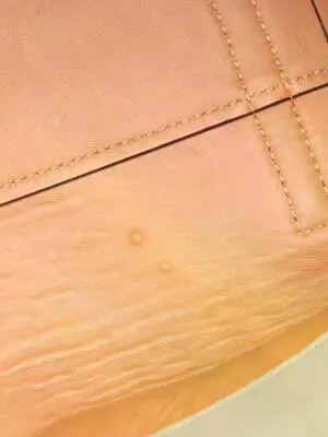 Burberry 2000-2017 Large Leather Belt Bag Satchel