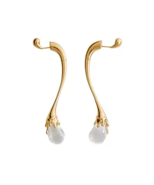 Bottega Veneta Drop Earrings