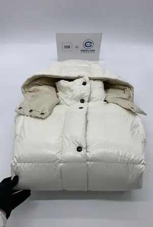 Moncler Parana Down Jacket