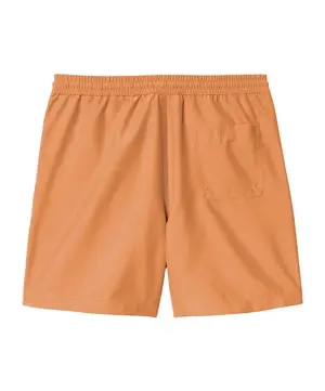 Carhartt Work In Progress Chase Swim Trunks