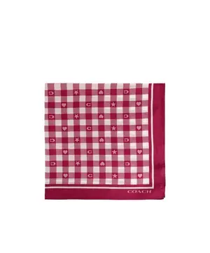 COACH Patterned Silk Scarf - Pink