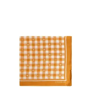 COACH Patterned Silk Scarf