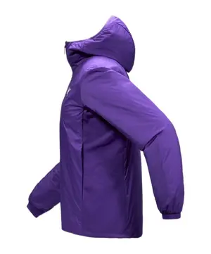 Arc'teryx Atom Hooded Jacket