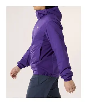 Arc'teryx Atom Hooded Jacket