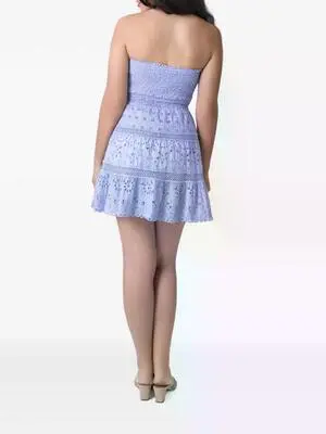 Misha Collection Cayenna Strapless Mini Dress