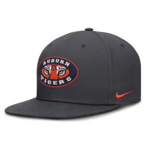 Nike Auburn Pro Dri-fit College Fitted Cap - Grey
