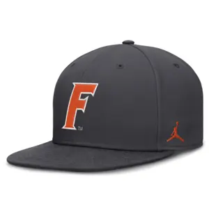 Nike Florida Pro Jordan Brand Dri-fit College Fitted Hat - Grey