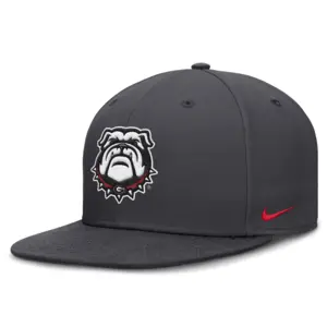 Nike Georgia Pro Dri-fit College Fitted Cap - Grey