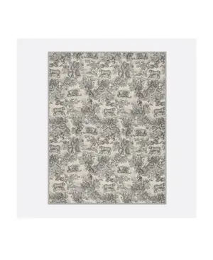 Dior Toile De Jouy Sauvage Stole