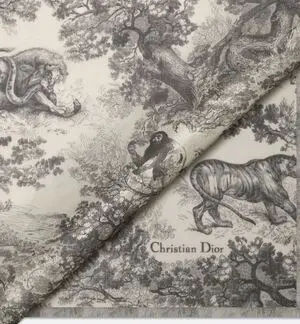 Dior Toile De Jouy Sauvage Stole