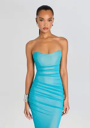 Retrofete Quintessa Mesh Dress